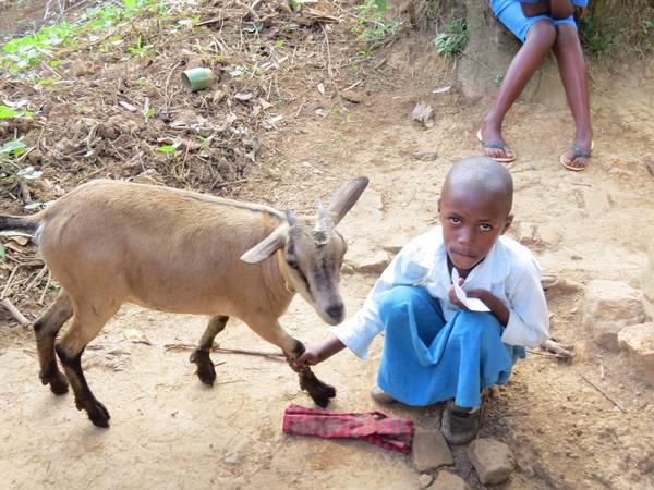 The Goat Project - JMFA